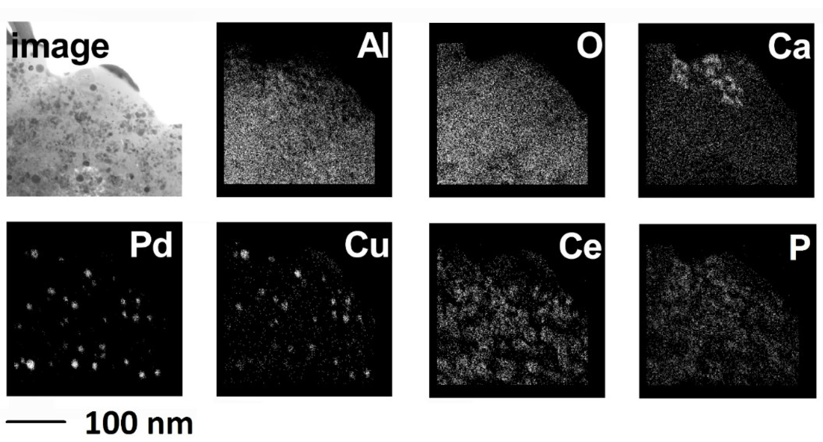 Microstructural Characteristics of Vehicle-Aged Heavy-Duty Diesel ...