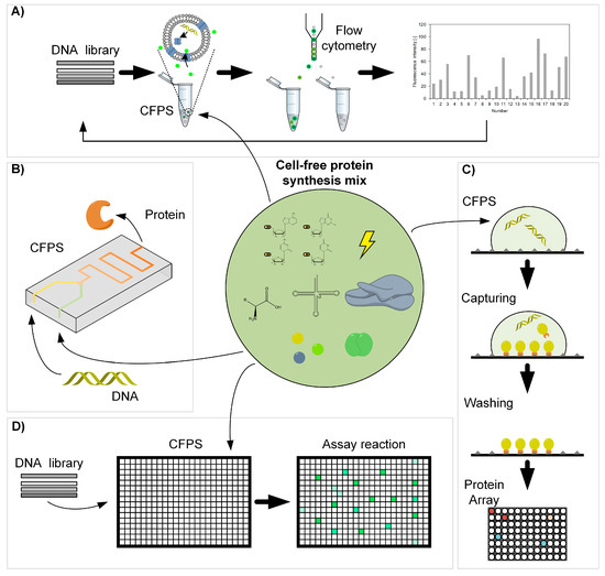 Catalysts | Free Full-Text | Application of Cell-Free Protein Synthesis ...