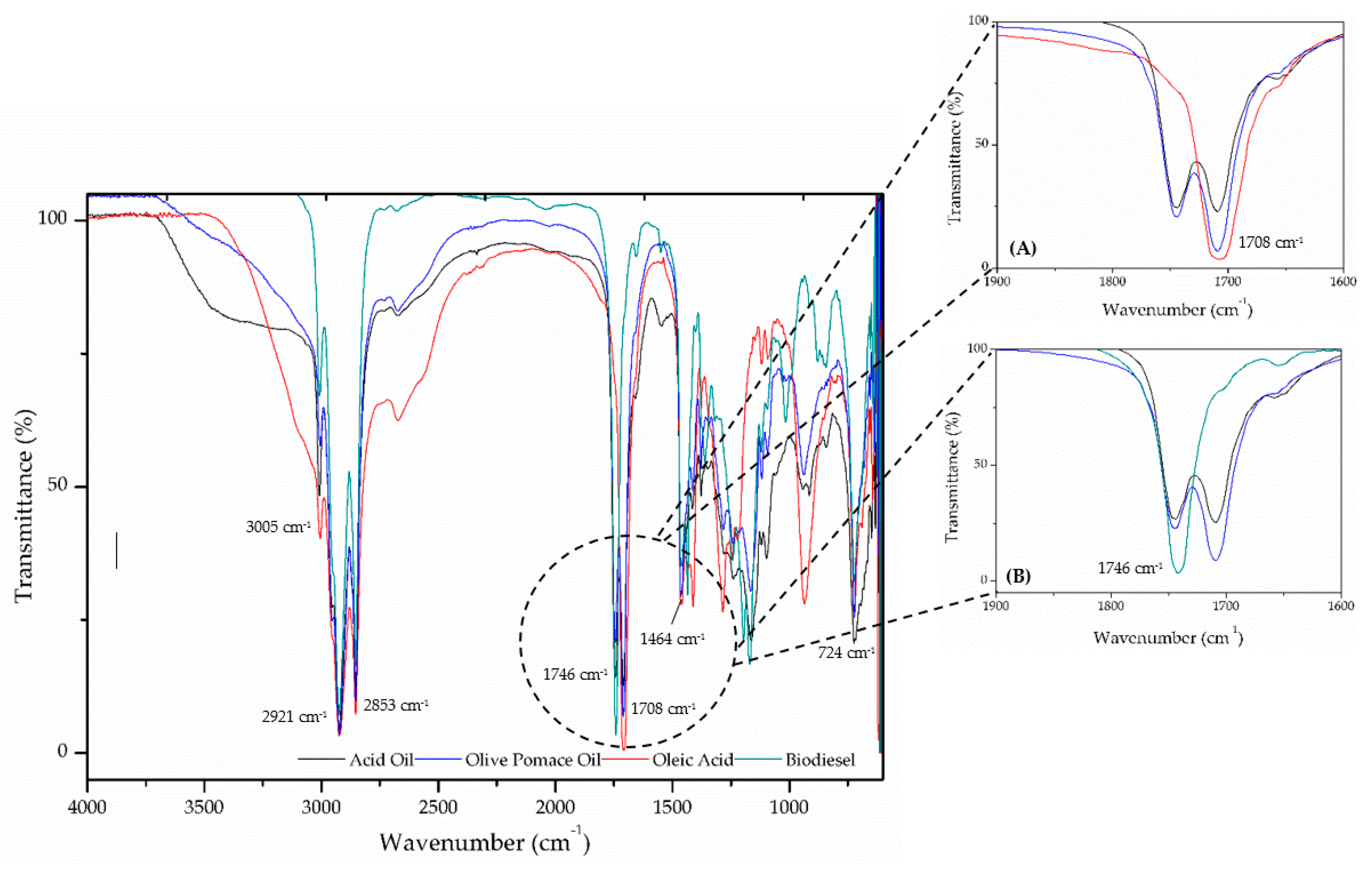 Monitoring Enzymatic Hydroesterification of Low-Cost Feedstocks by ...