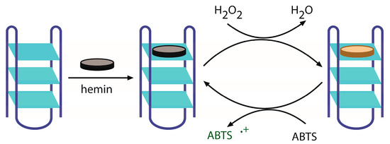 Catalytic Activities of Multimeric G-Quadruplex DNAzymes