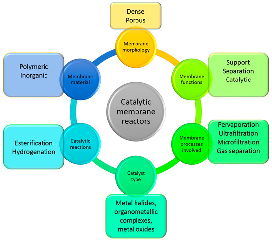 Membrane Technology in Catalytic Carbonylation Reactions