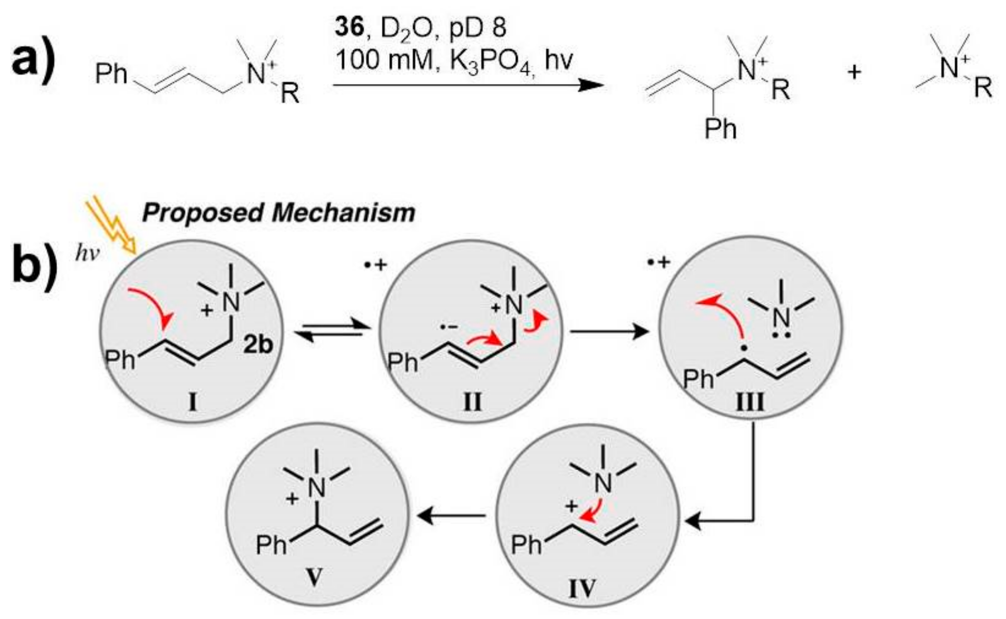 Catalysis inside Supramolecular Capsules: Recent Developments