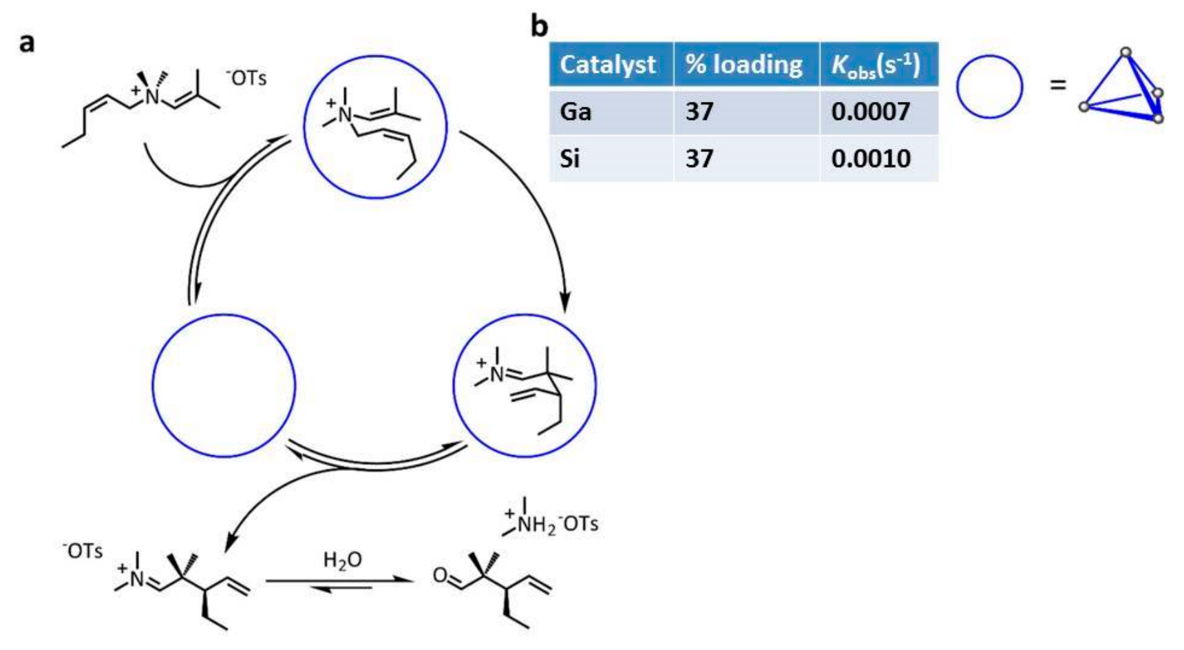 Catalysis inside Supramolecular Capsules: Recent Developments