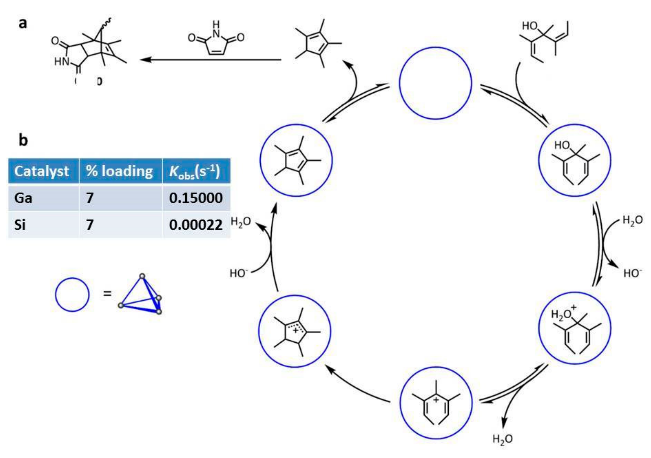 Catalysis inside Supramolecular Capsules: Recent Developments