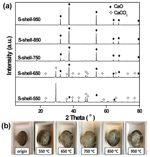 Waste Seashells as a Highly Active Catalyst for Cyclopentanone Self ...