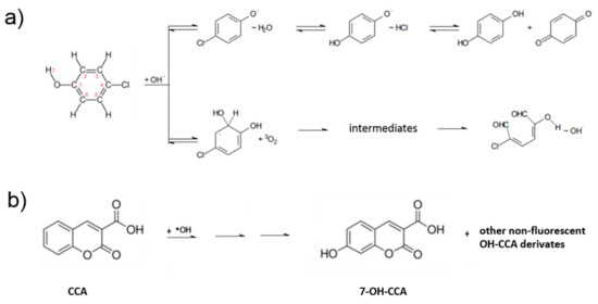 Immobilized rGO/TiO2 Photocatalyst for Decontamination of Water
