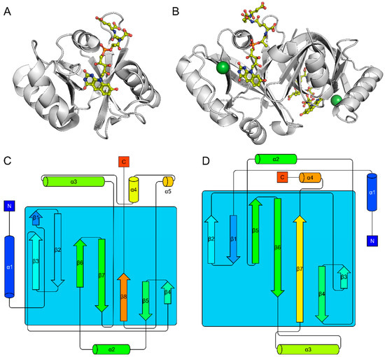 Catalysts | Special Issue : Novel Enzyme and Whole-Cell Biocatalysts