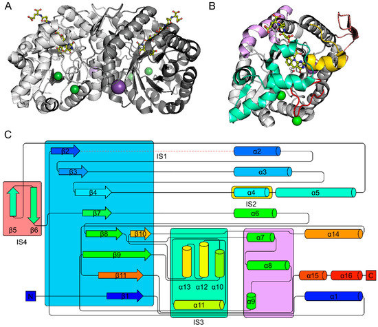 Cofactor F420-Dependent Enzymes: An Under-Explored Resource for ...