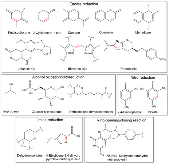 Cofactor F420-Dependent Enzymes: An Under-Explored Resource for ...
