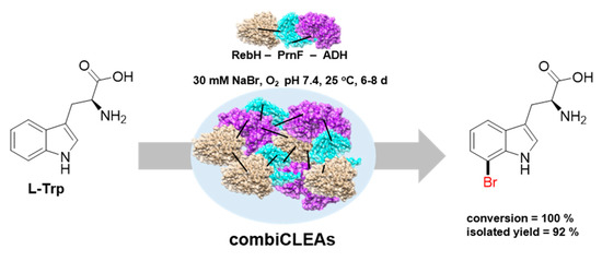 Recent Advances in Flavin-Dependent Halogenase Biocatalysis: Sourcing ...