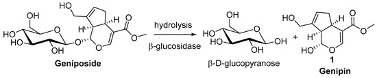 Genipin as An Emergent Tool in the Design of Biocatalysts: Mechanism of ...