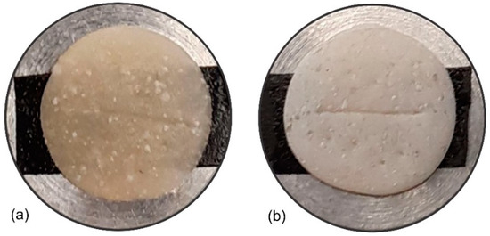 Catalysts | Free Full-Text | Development of an Innovative Urease-Aided ...