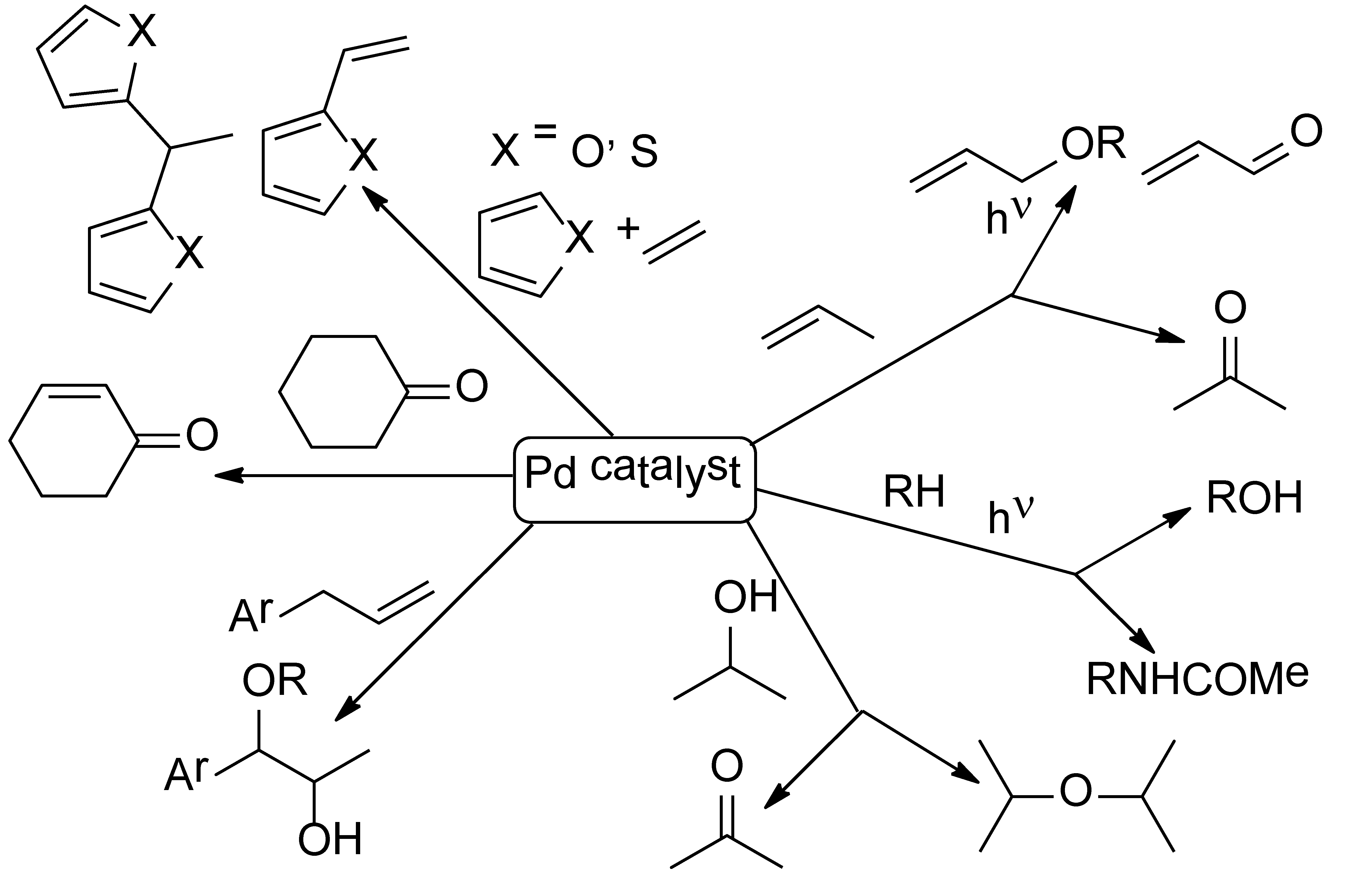 Catalysts | Free Full-Text | The Reims Journey Towards Discovery and ...