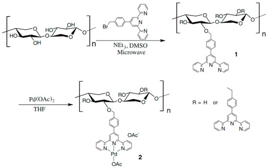 Catalysts | Special Issue : Palladium-Catalyzed Reactions