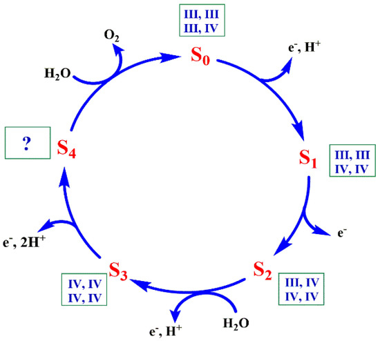 Mimicking the Catalytic Center for the Water-Splitting Reaction in Photosystem II