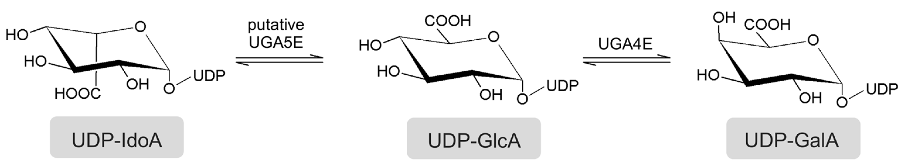 Catalysts | Free Full-Text | Novel Insights into the Existence of the ...