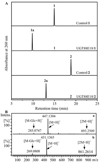 Catalysts | Special Issue : Biocatalytic Process Optimization