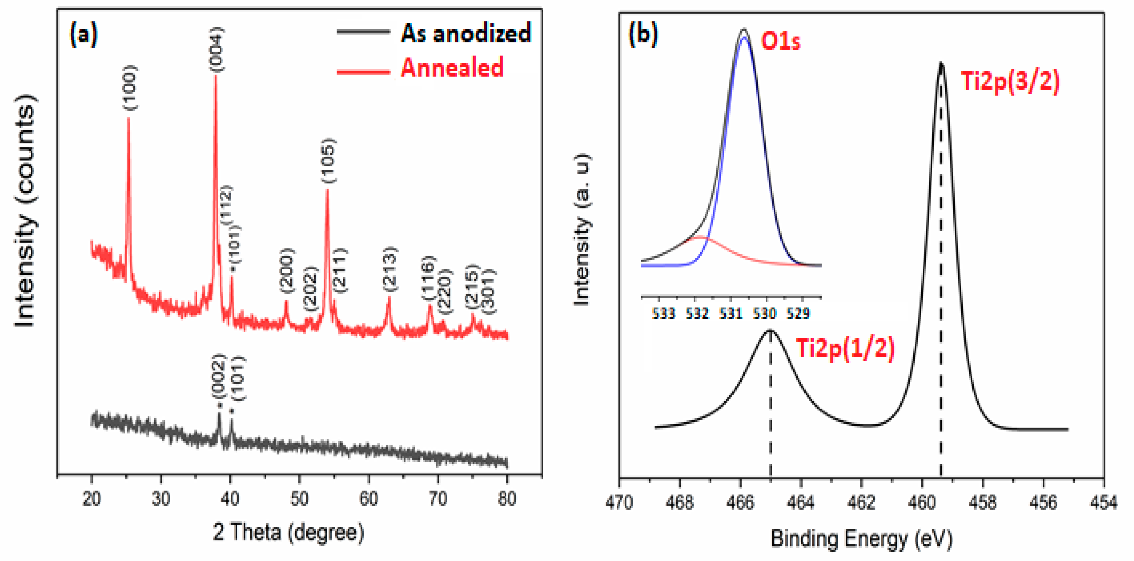 Effect of Morphology on the Photoelectrochemical Activity of TiO2 Self ...