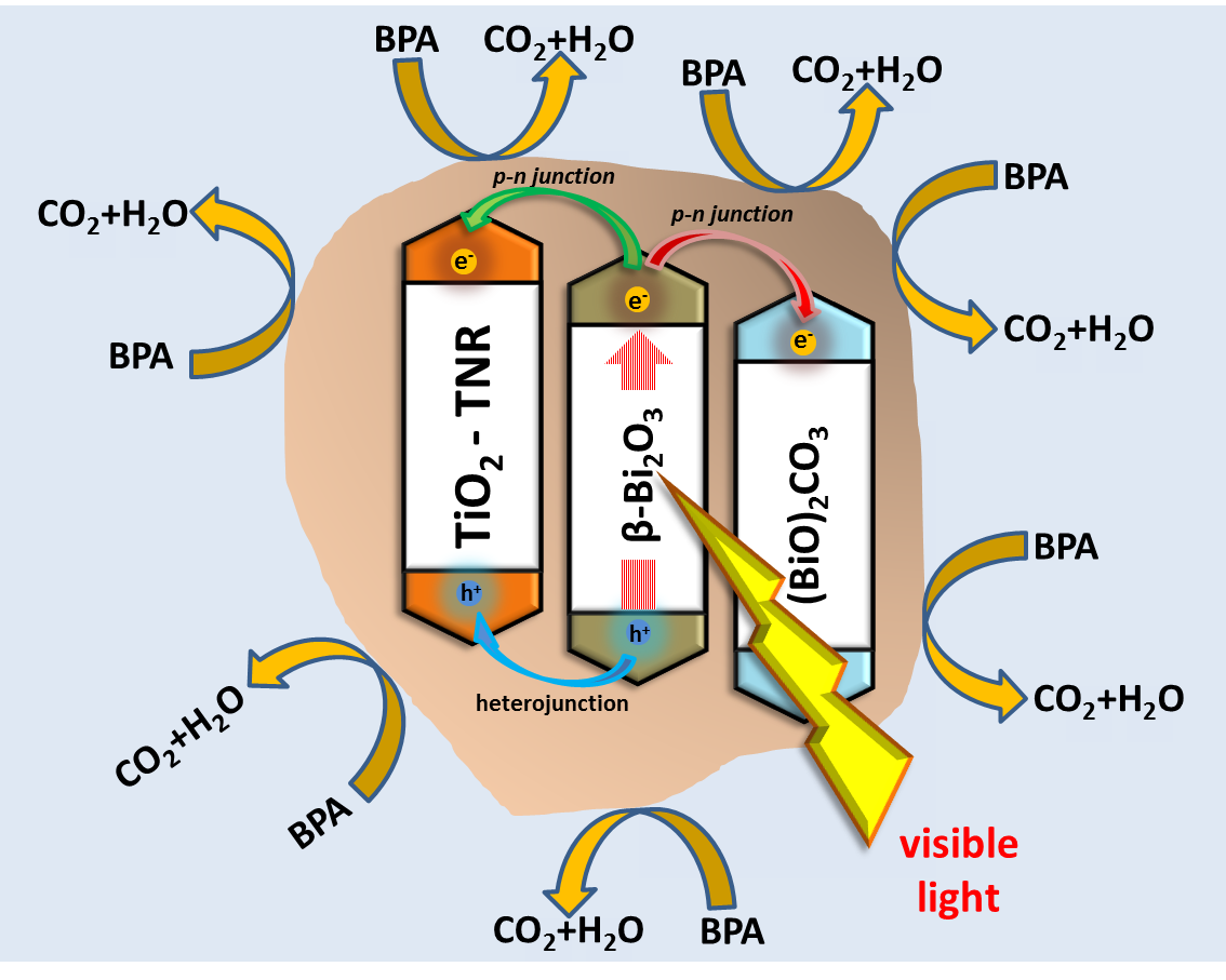 Catalysts | Free Full-Text | Influence of TiO2 Morphology and ...