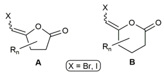Metal-Catalyzed Synthesis and Transformations of β-Haloenol Esters
