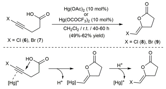 Metal-Catalyzed Synthesis and Transformations of β-Haloenol Esters