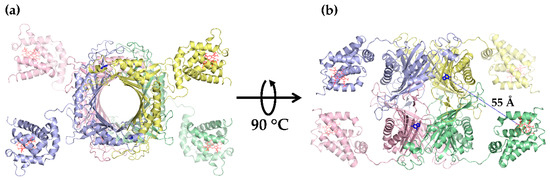 Engineering of Bifunctional Enzymes with Uricase and Peroxidase ...