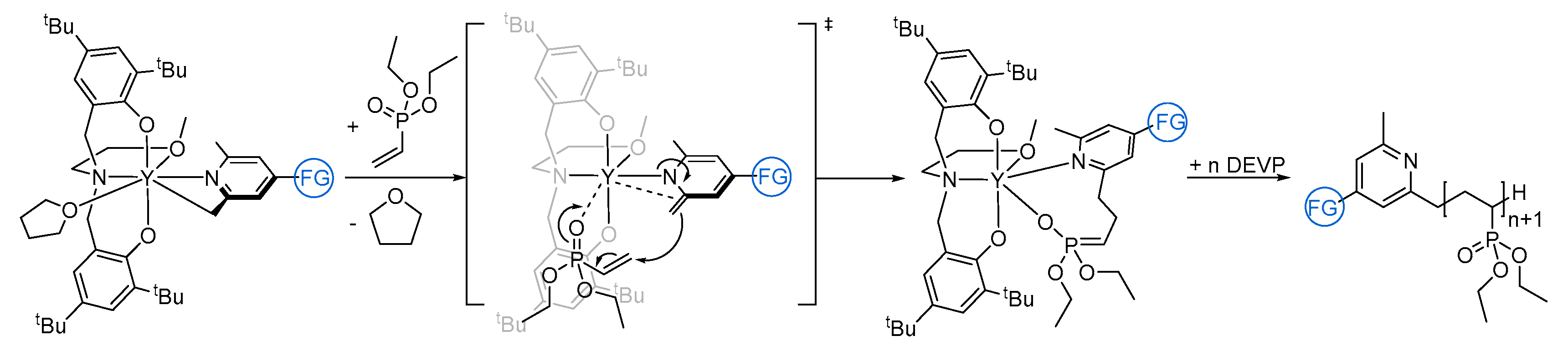 C–H Bond Activation of Silyl-Substituted Pyridines with Bis(Phenolate ...