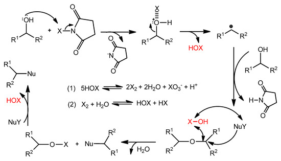 N-Halosuccinimides as Precatalysts for C-, N-, O-, and X-Nucleophilic ...