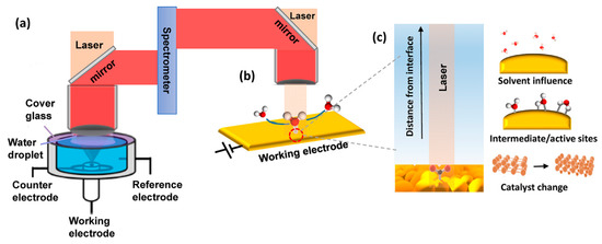 In Situ Spectroscopic Methods for Electrocatalytic CO2 Reduction