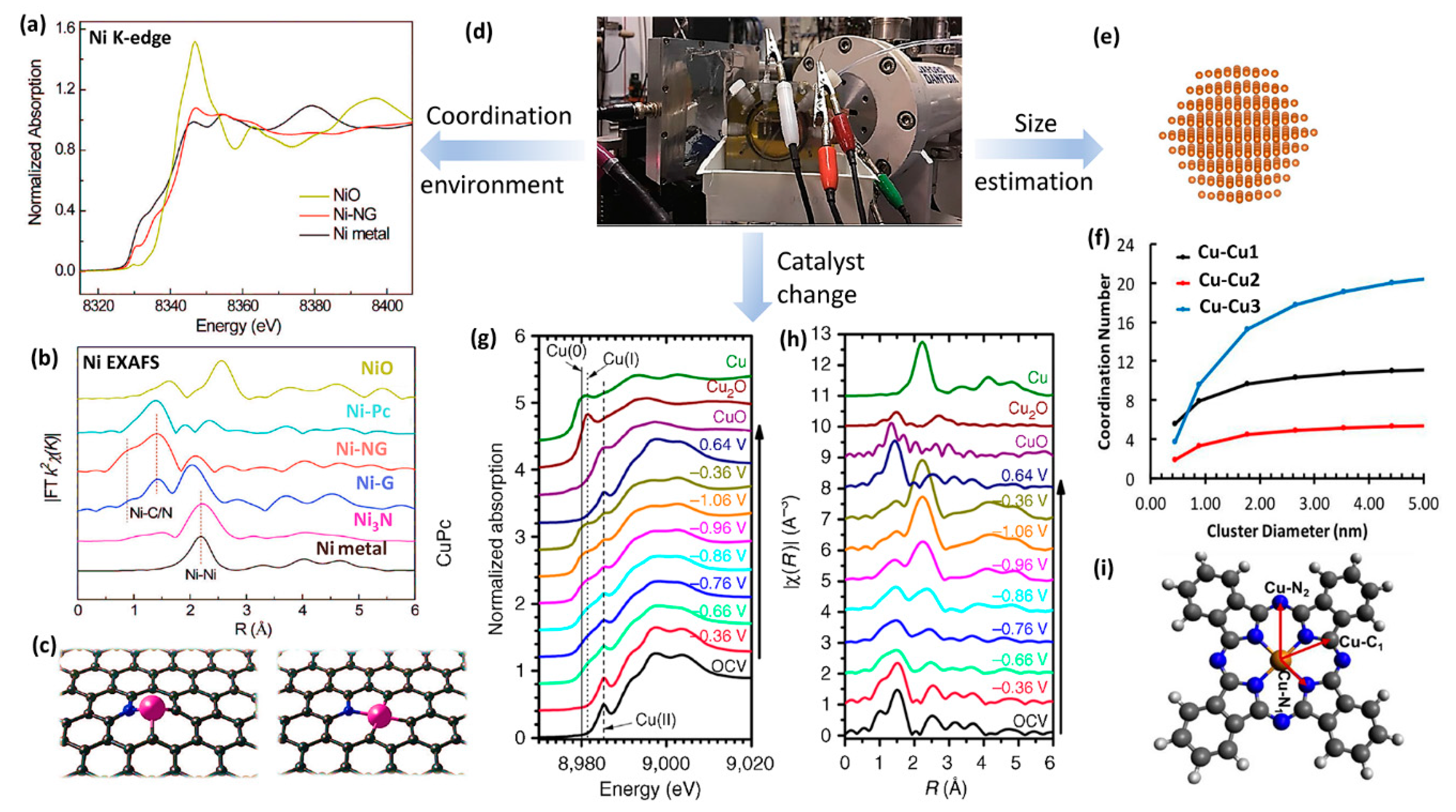 Catalysts | Free Full-Text | In Situ Spectroscopic Methods for Electrocatalytic CO2 Reduction