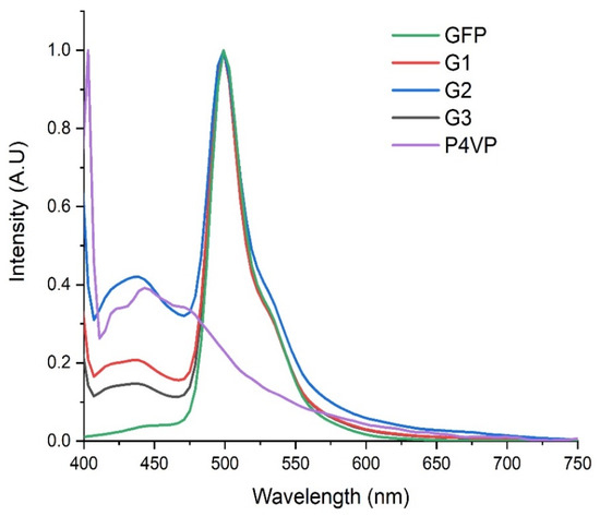 Synthesis and Characterization of Bio-Active GFP-P4VP Core–Shell ...