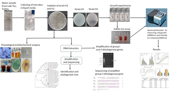 Catalysts | Free Full-Text | Alternative Bioremediation Agents against ...