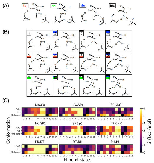Fine-Tuning of Sequence Specificity by Near Attack Conformations in ...