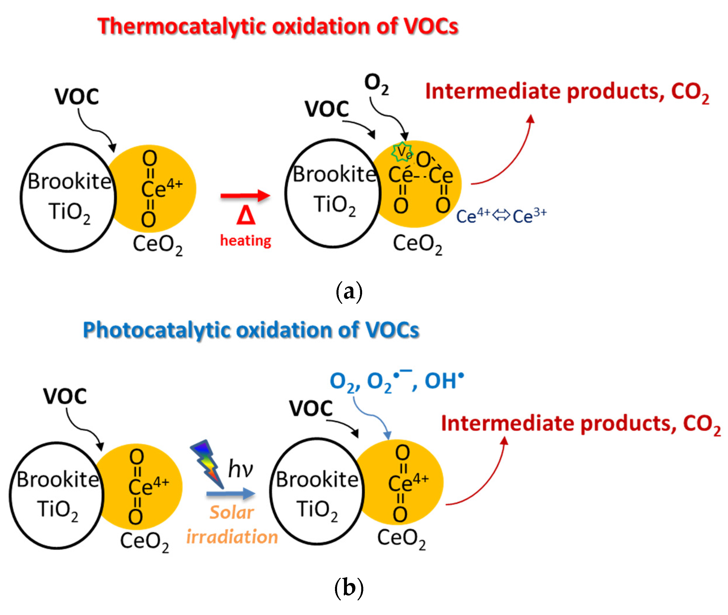 Catalysts | Free Full-Text | Exploring the Photothermo-Catalytic Performance of Brookite TiO2 ...