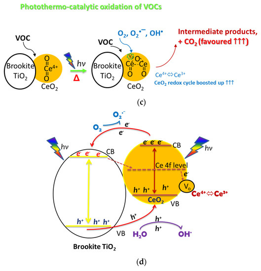 Catalysts | Free Full-Text | Exploring the Photothermo-Catalytic Performance of Brookite TiO2 ...