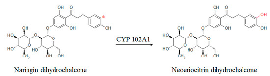 Catalysts | Special Issue : Biocatalytic Process Optimization