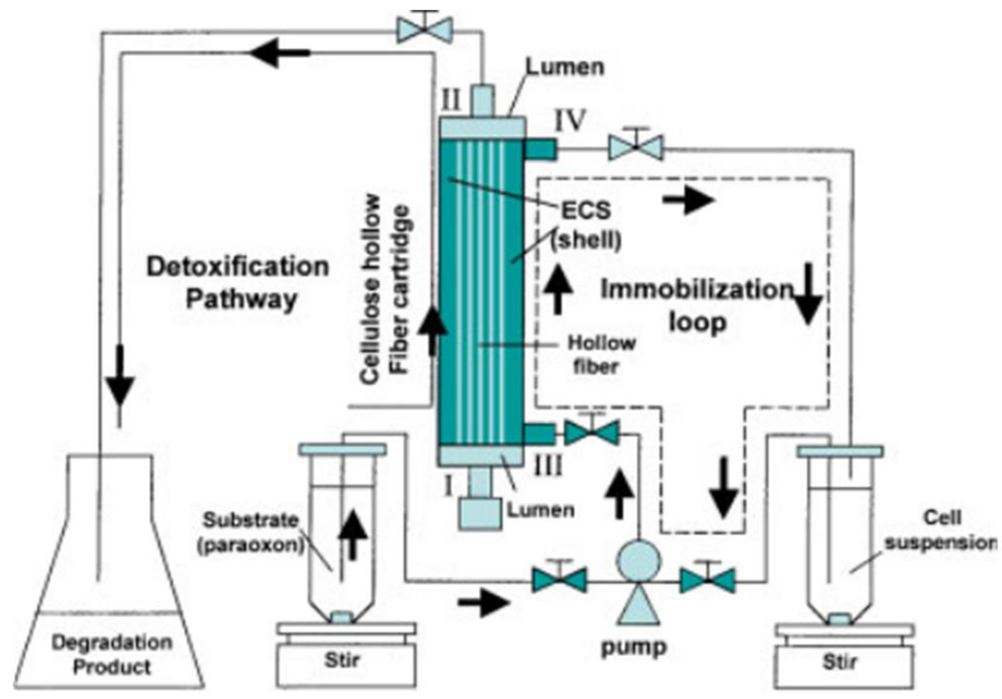 Catalytic Degradation of Nerve Agents