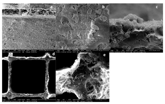 Catalysts | Special Issue : Porous Materials and Catalysts
