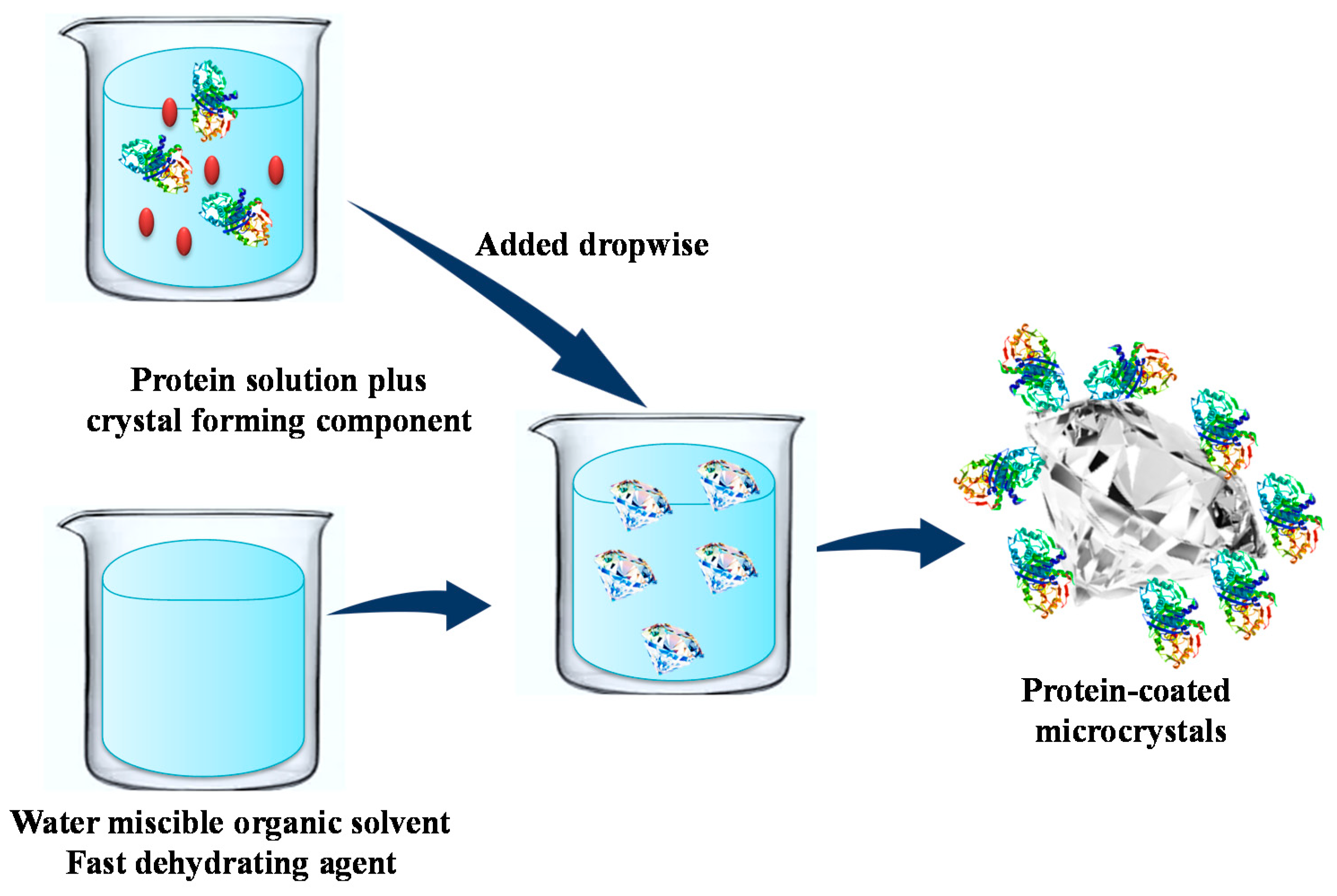 Enzyme-Coated Micro-Crystals: An Almost Forgotten but Very Simple and ...