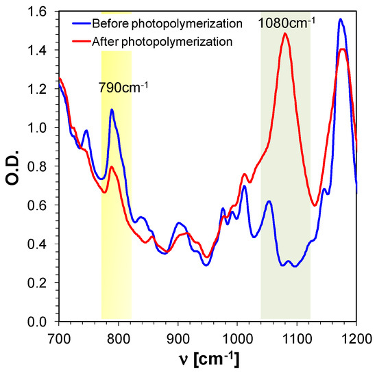 Thioxanthone Derivatives as a New Class of Organic Photocatalysts for ...