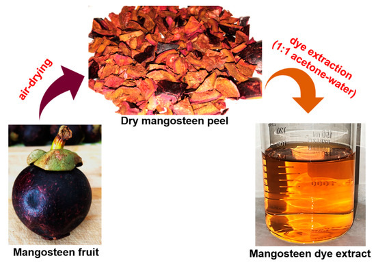Catalysts | Free Full-Text | Photocatalytic Activity of Aeroxide TiO2 ...