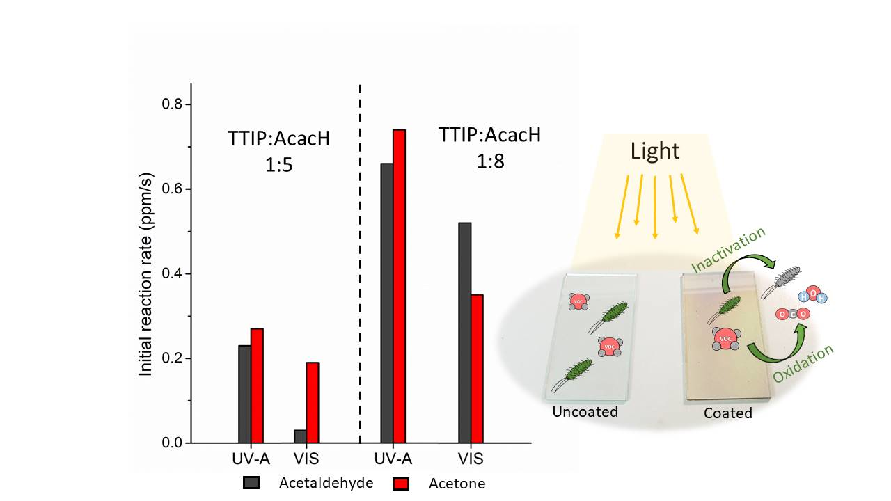 Catalysts | Free Full-Text | Enhanced Visible and Ultraviolet Light ...
