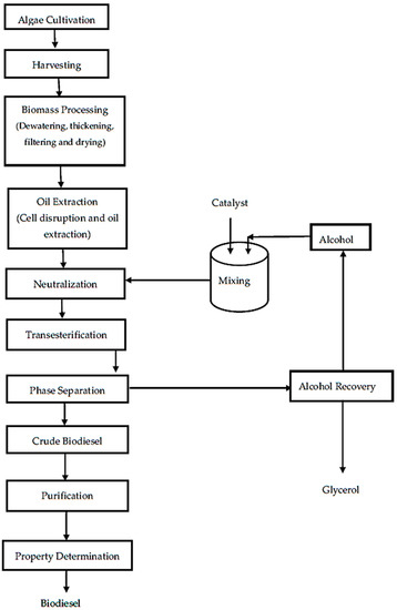 Catalysts | Free Full-Text | Application of Heterogeneous Catalysts for ...