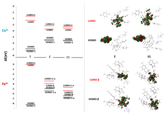 The Effects of the Metal Ion Substitution into the Active Site of ...