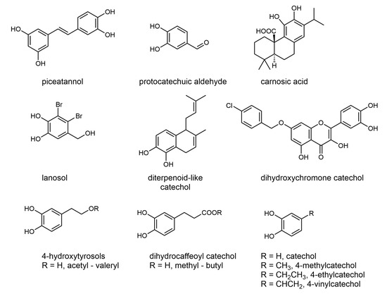 Biocatalyzed Reactions towards Functional Food Components 4 ...