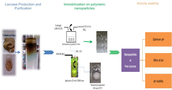 Catalysts | Special Issue : Biocatalysts and Biocatalysis in Food Industry