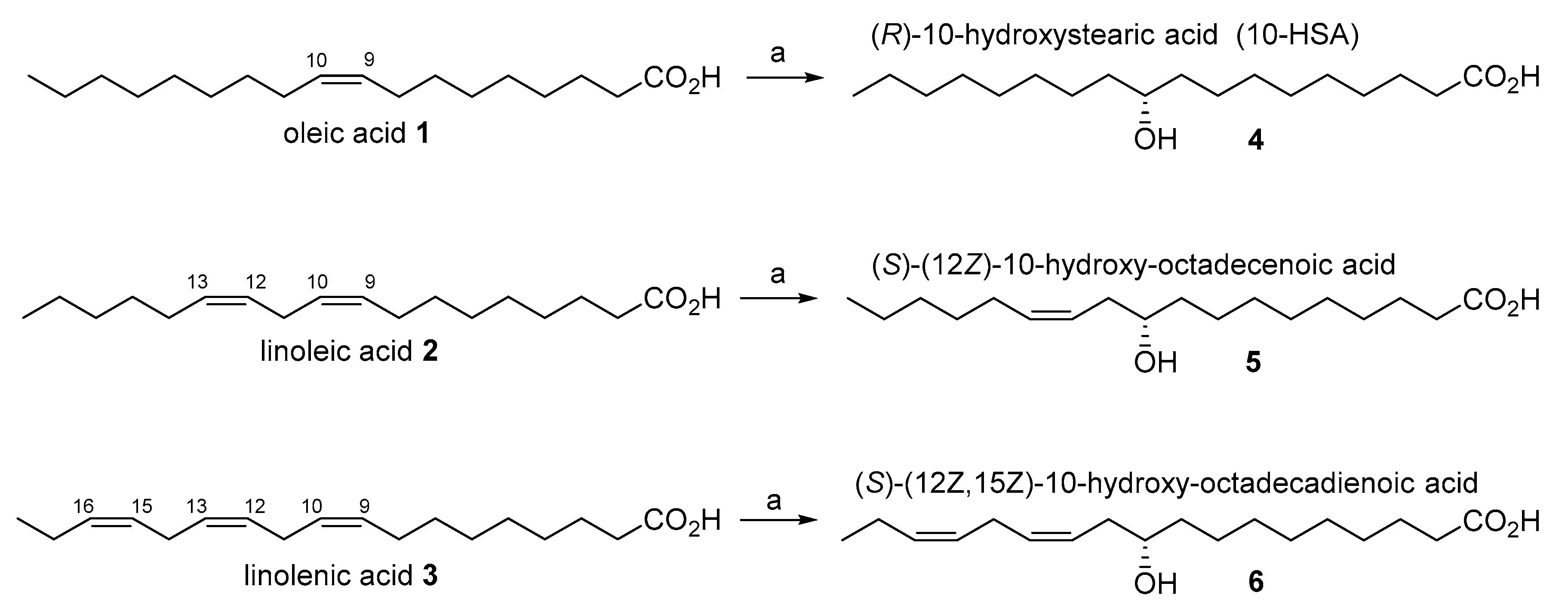 Recombinant Oleate Hydratase from Lactobacillus rhamnosus ATCC 53103 ...