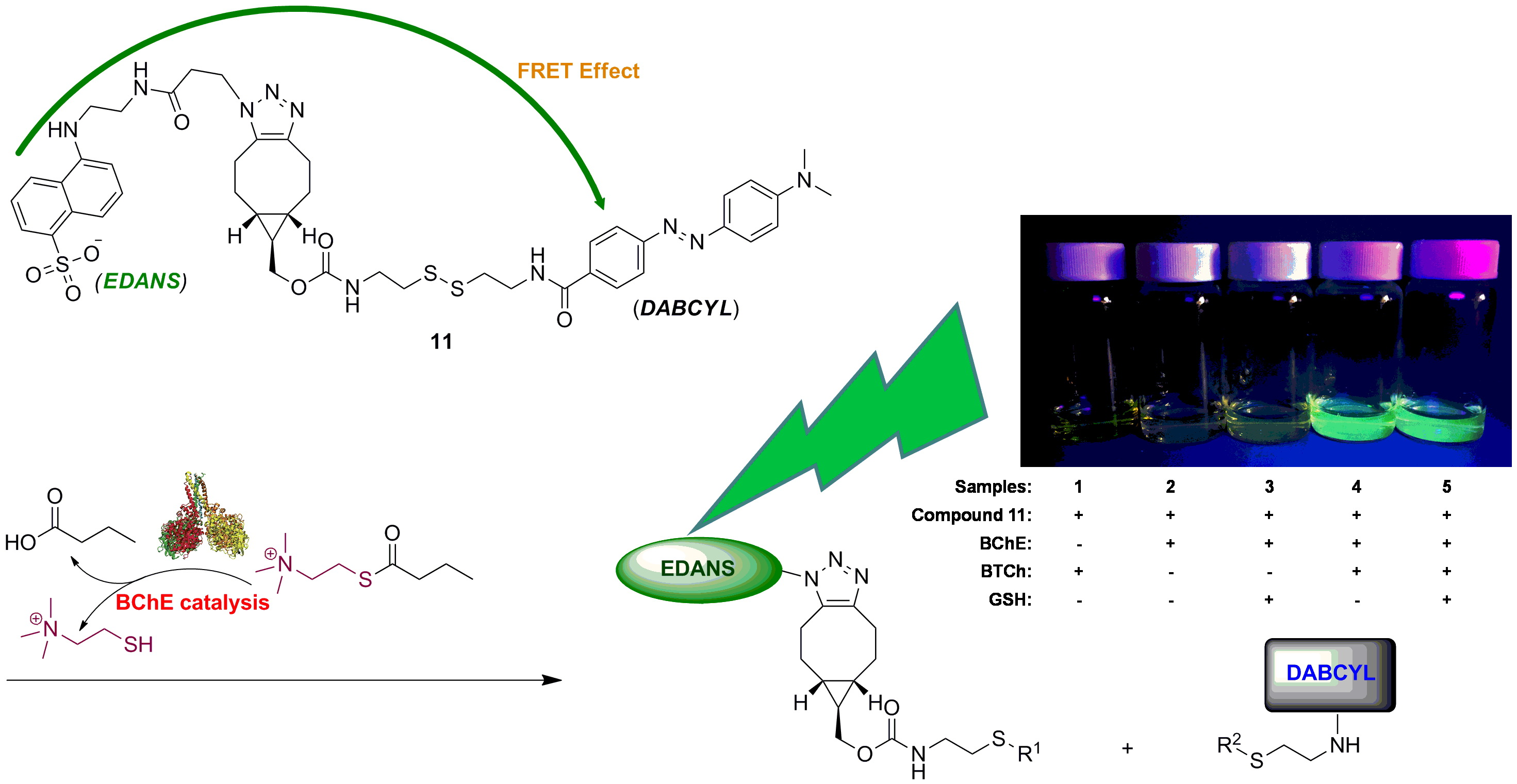 Catalysts | Free Full-Text | A Bioorthogonally Synthesized and ...