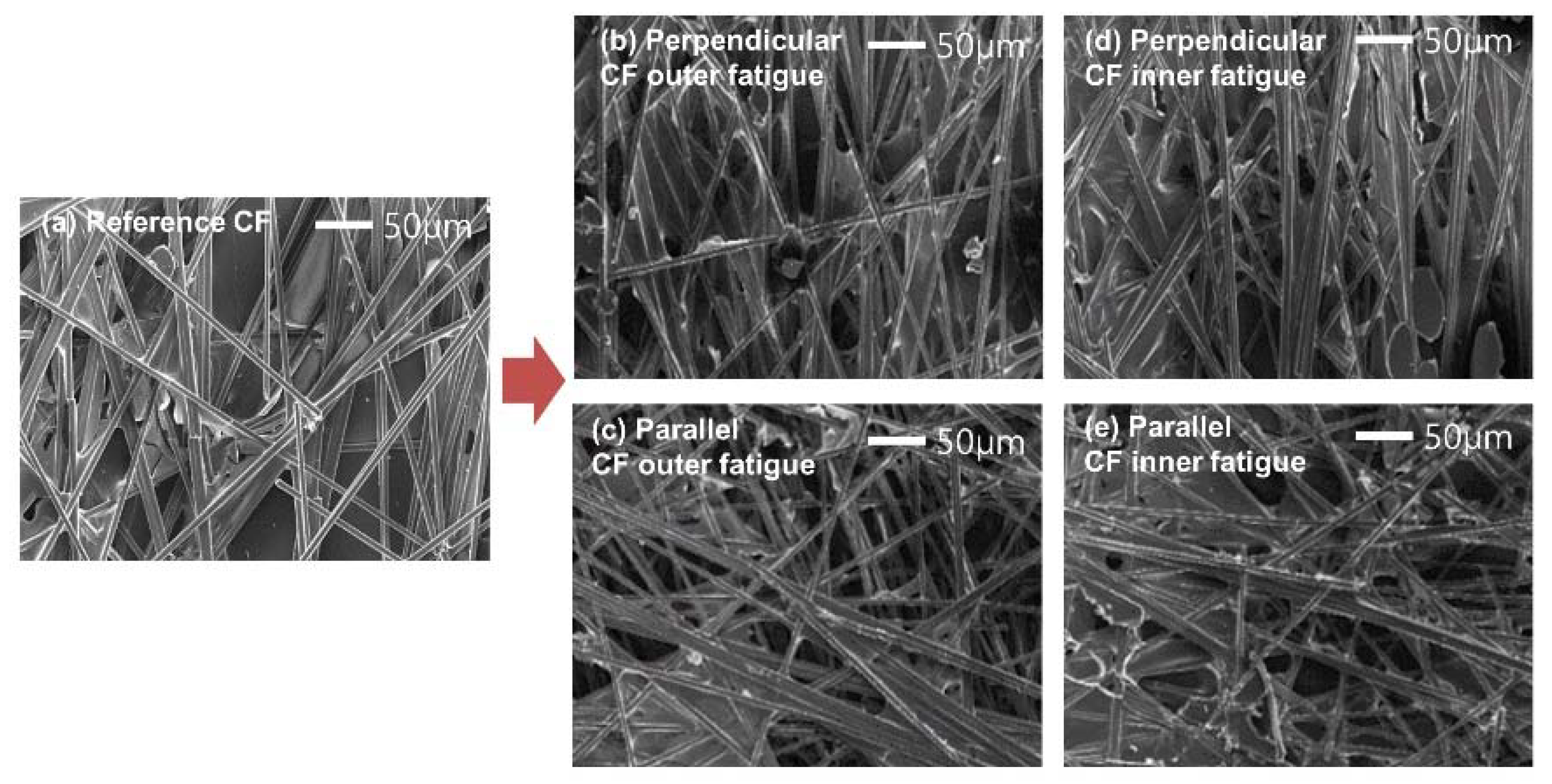 Thermal Profiles of Carbon Fiber Based Anisotropic Thin-Films: An ...