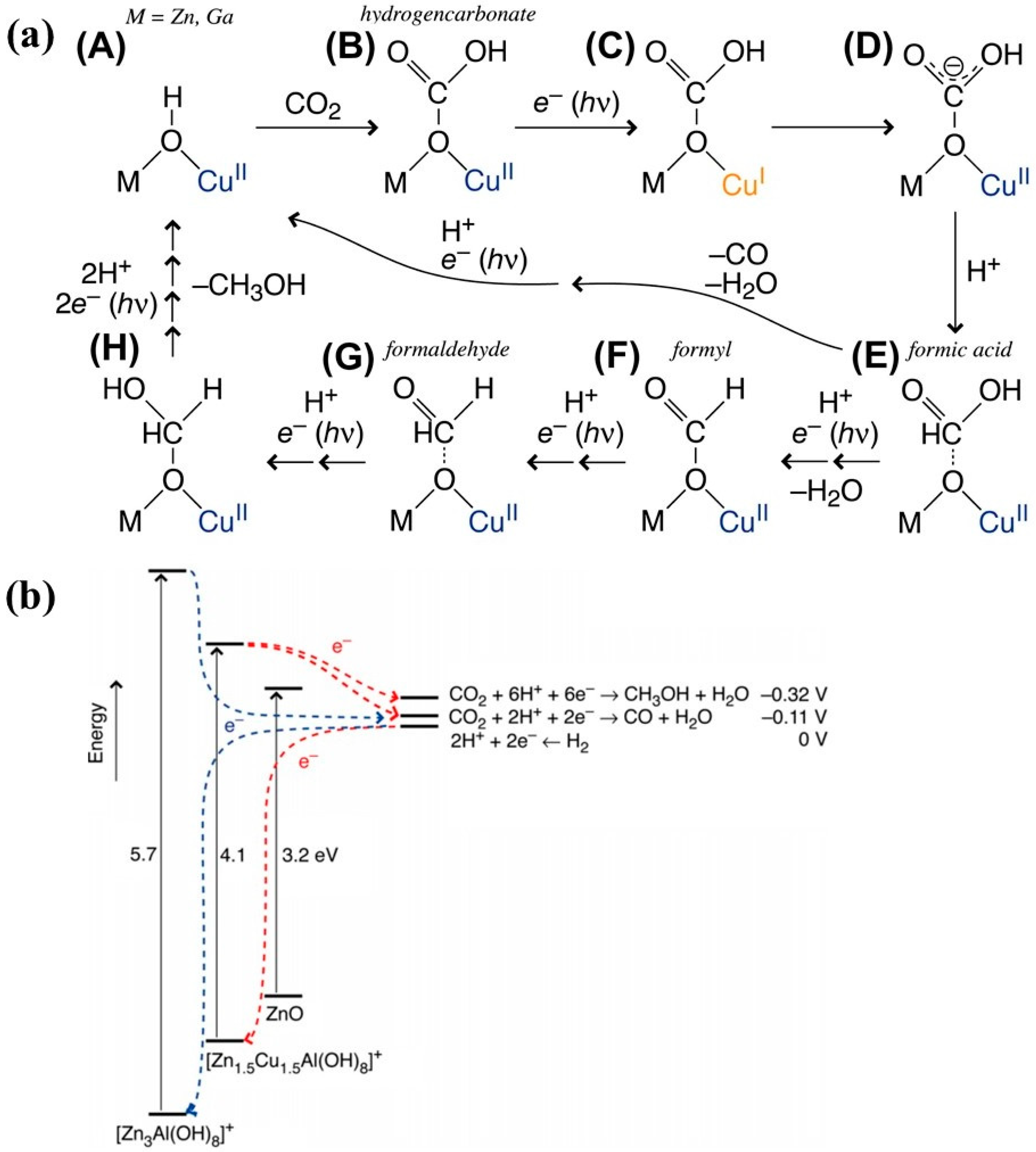 Catalysts | Free Full-Text | Layered Double Hydroxide (LDH) Based ...